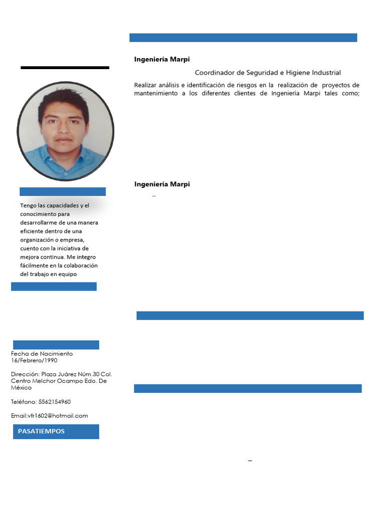 CV Roberto Viquez F | PDF | Business