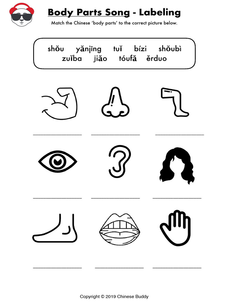 Body Parts Song - Fill in the Blank | PDF