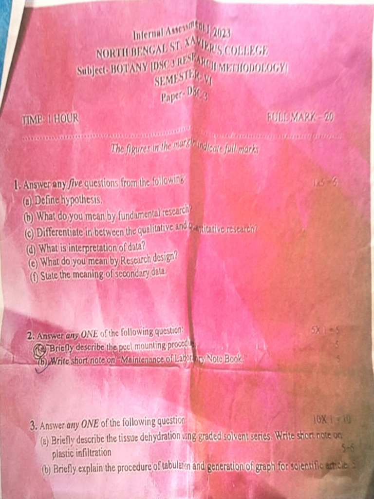 DSE Interna Papers 2023 - 2024 | PDF