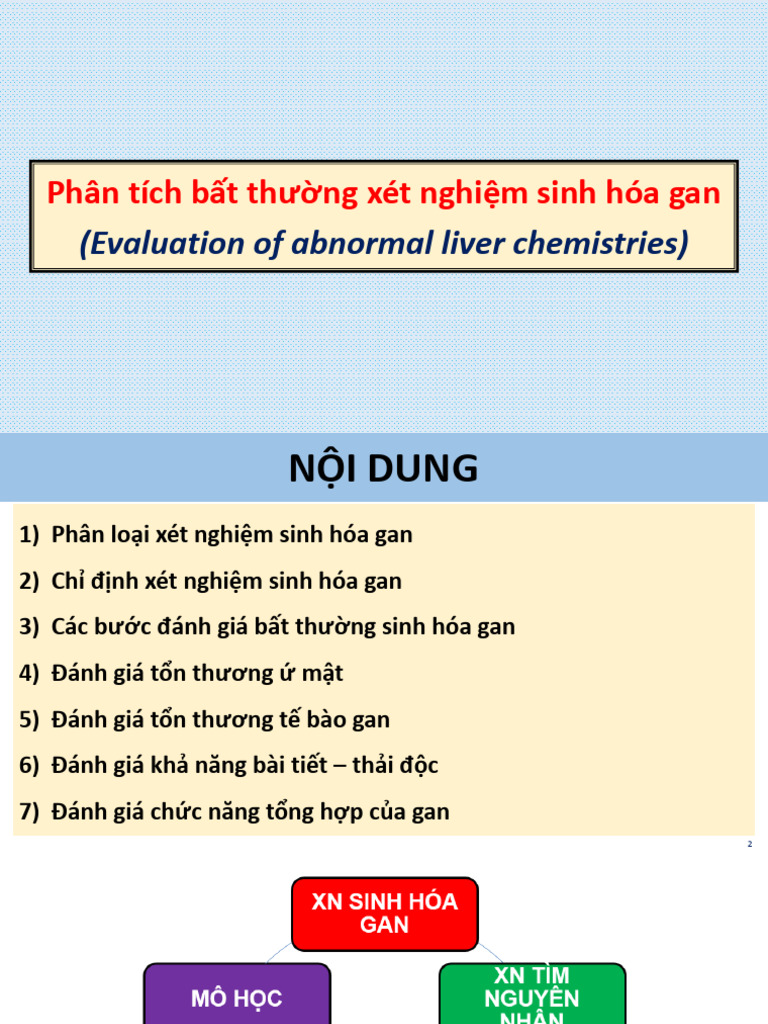 (B7) - Phan Tich Xet Nghiem Sinh Hoa Gan | PDF