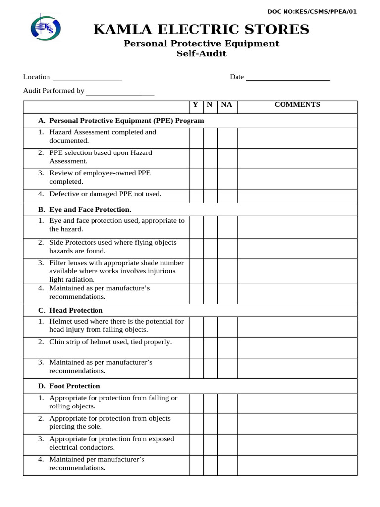 PPE's Monthly Audit | PDF