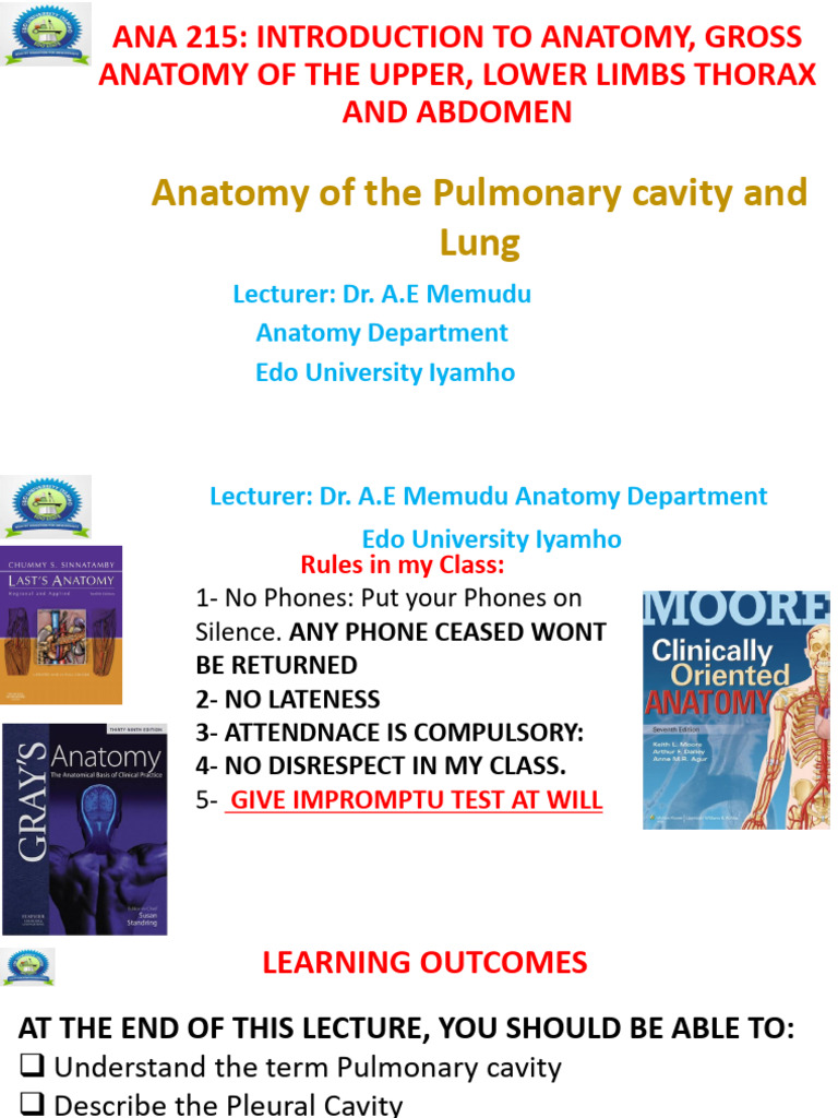 ANA 215-210- Anatomy of the Lung MLS BNSC280120 | PDF | Lung | Thorax ...