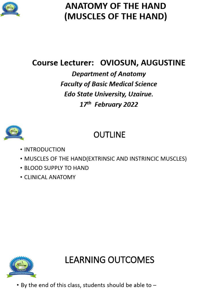 ANATOMY OF THE HAND(MUSCLES OF THE HAND,- Nursing 2022 | PDF | Hand | Thumb