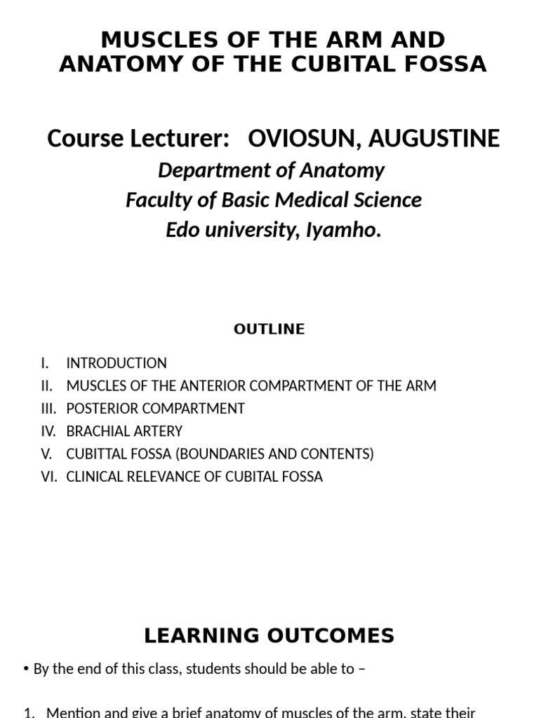Antomy of The Arm and Cubittal Fossa | PDF | Arm | Elbow