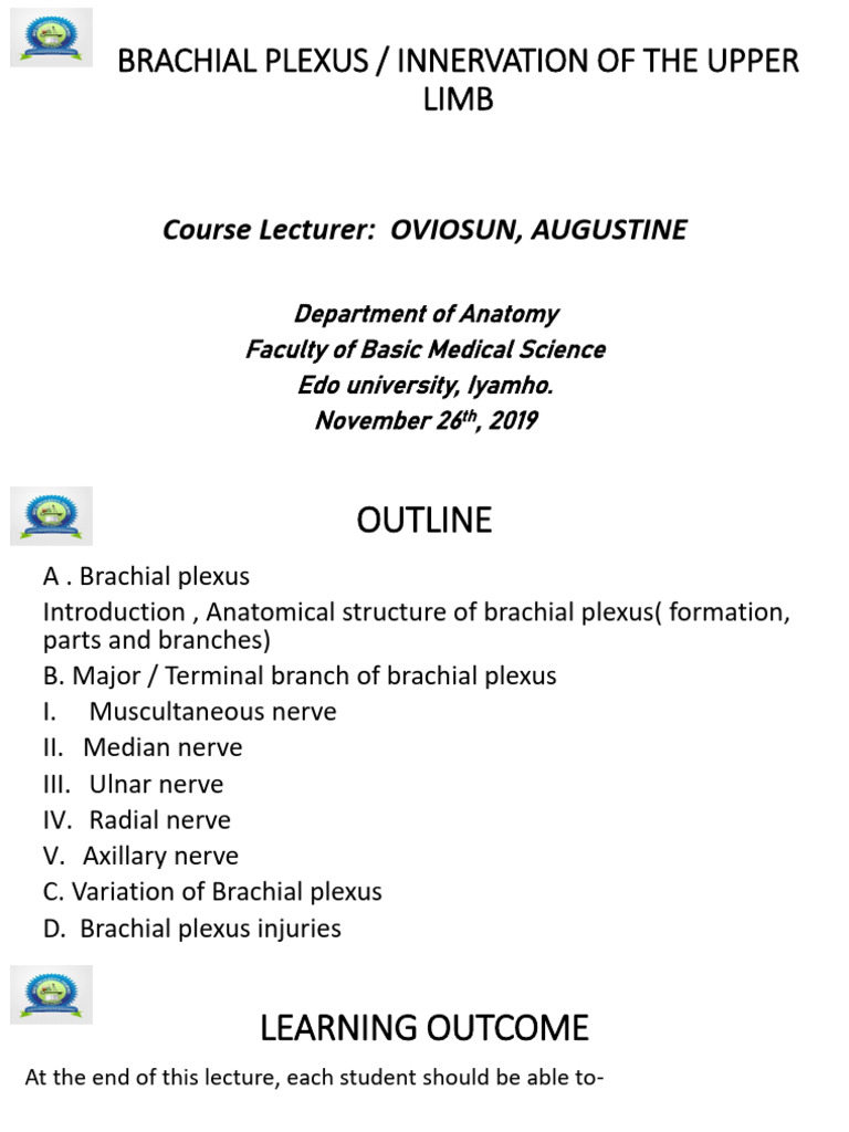 BRACHIAL PLEXUS FOR NURSING AND MEDICAL LAB STUDENTS | PDF | Musculoskeletal System | Human Anatomy