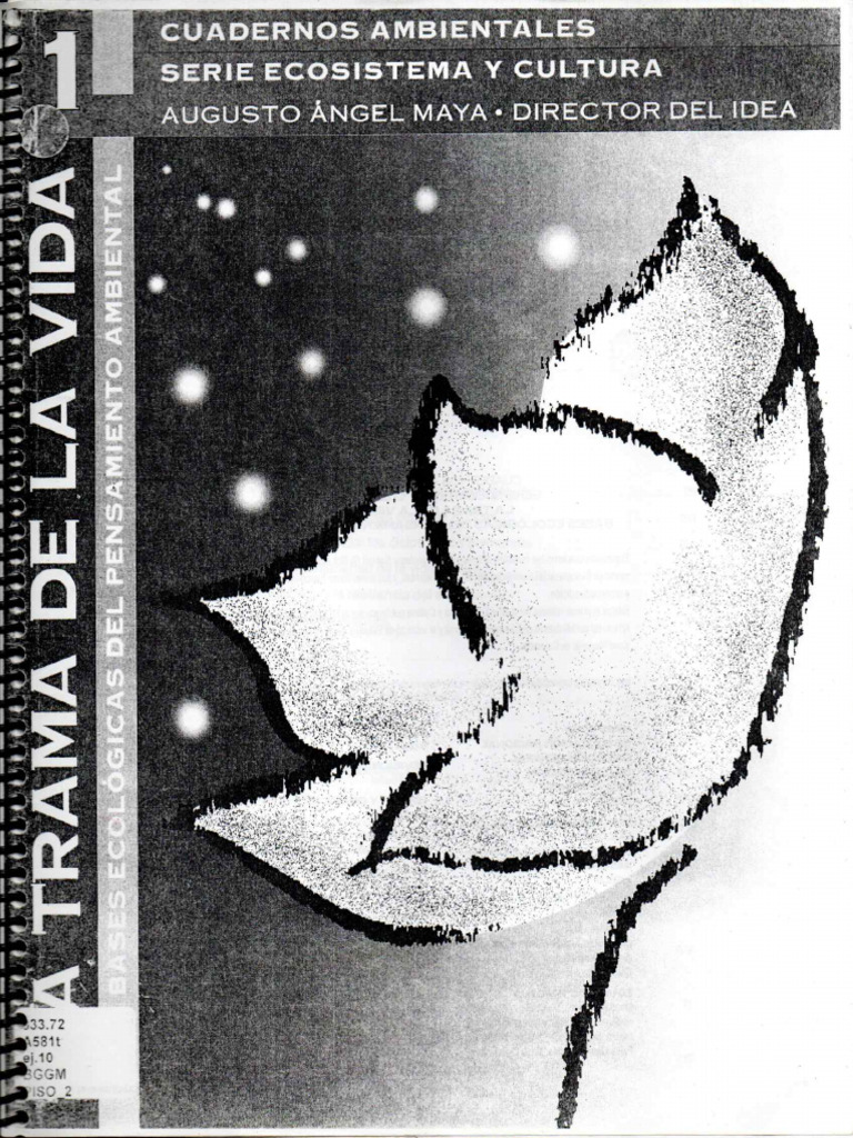 Angel-Maya. La Trama de La Vida | PDF