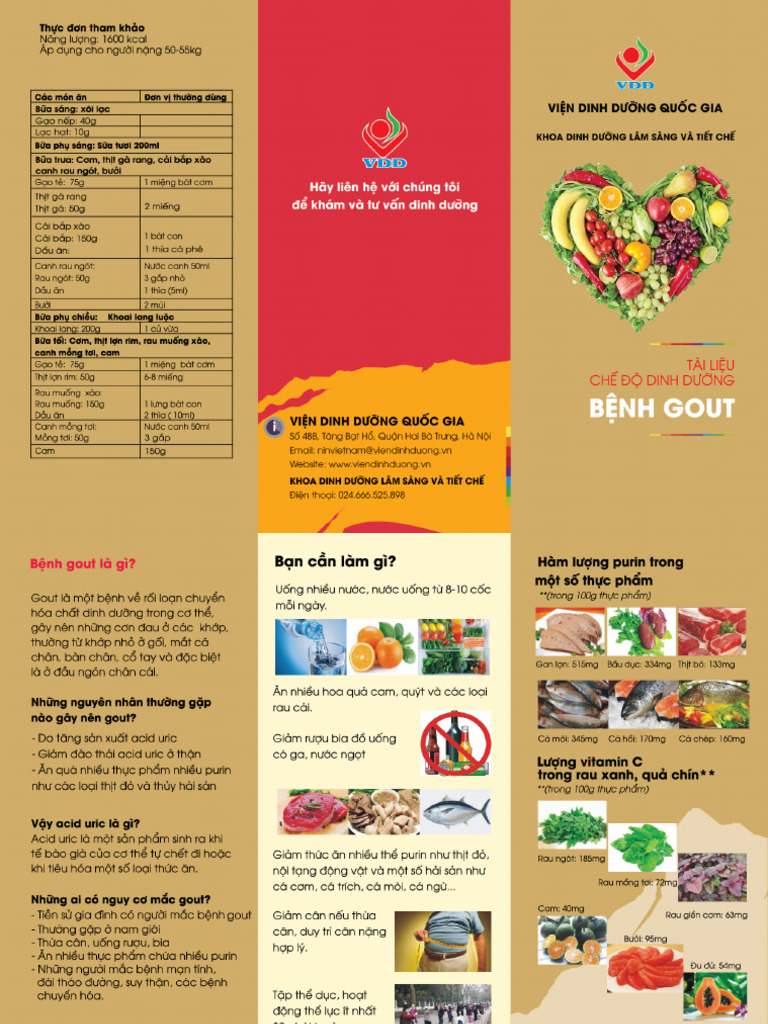 TR-VDD-0013-Che Do Dinh Duong Benh Gout-2018 | PDF