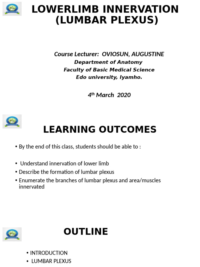 Lower Limb Innervation-Mbbs 2020 | PDF | Human Leg | Limbs (Anatomy)