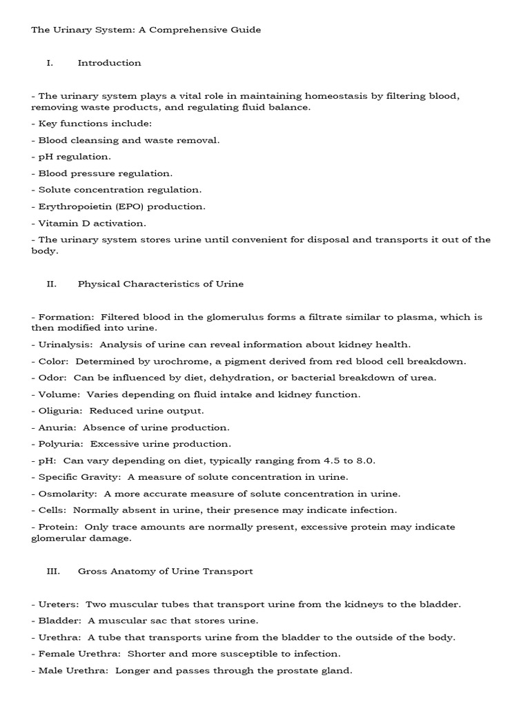 Urinary-note-final | PDF | Kidney | Urinary System