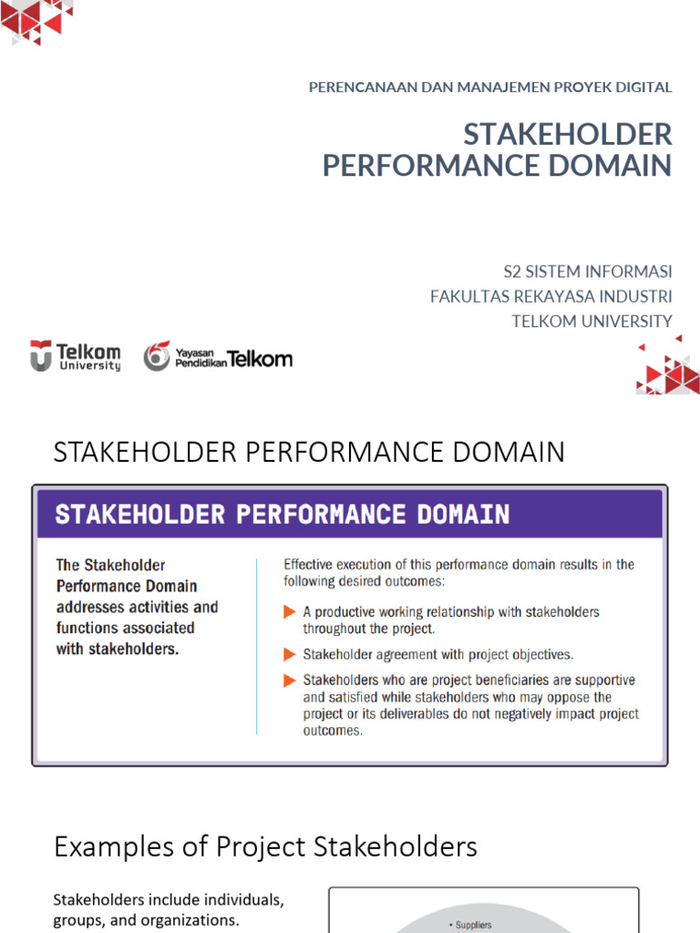 Stakeholders Performance Domain | PDF | Psychology | Business