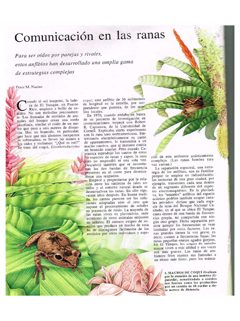 Comunicación en las ranas | PDF