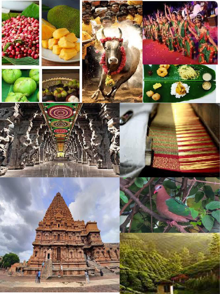 Collage | PDF