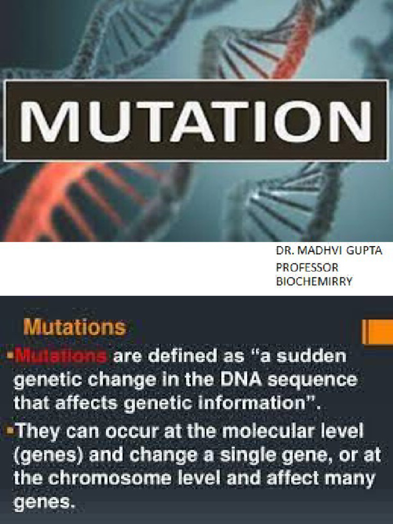 Types of Point Mutations Explained | PDF