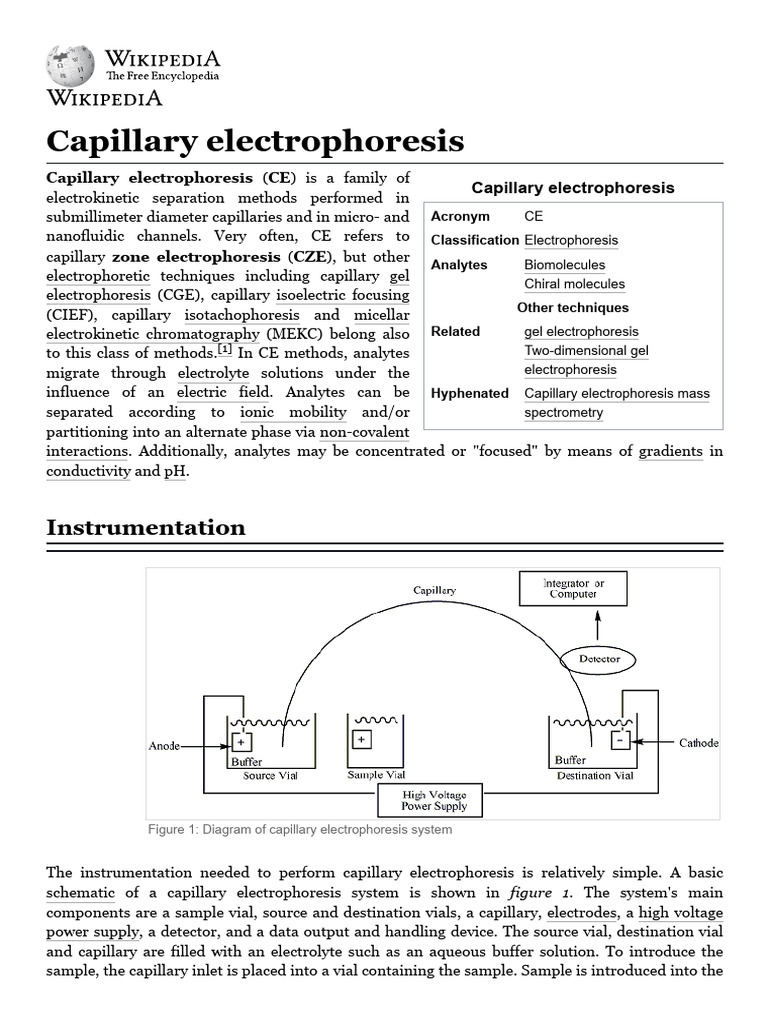 Overview of Capillary Electrophoresis | PDF | Capillary Electrophoresis ...