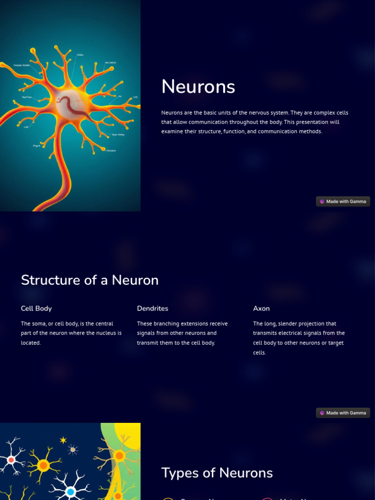 Neurons | PDF