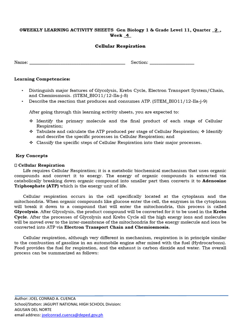 GB1 - Q2 - Week 4 For Students | PDF | Cellular Respiration | Diet & Nutrition