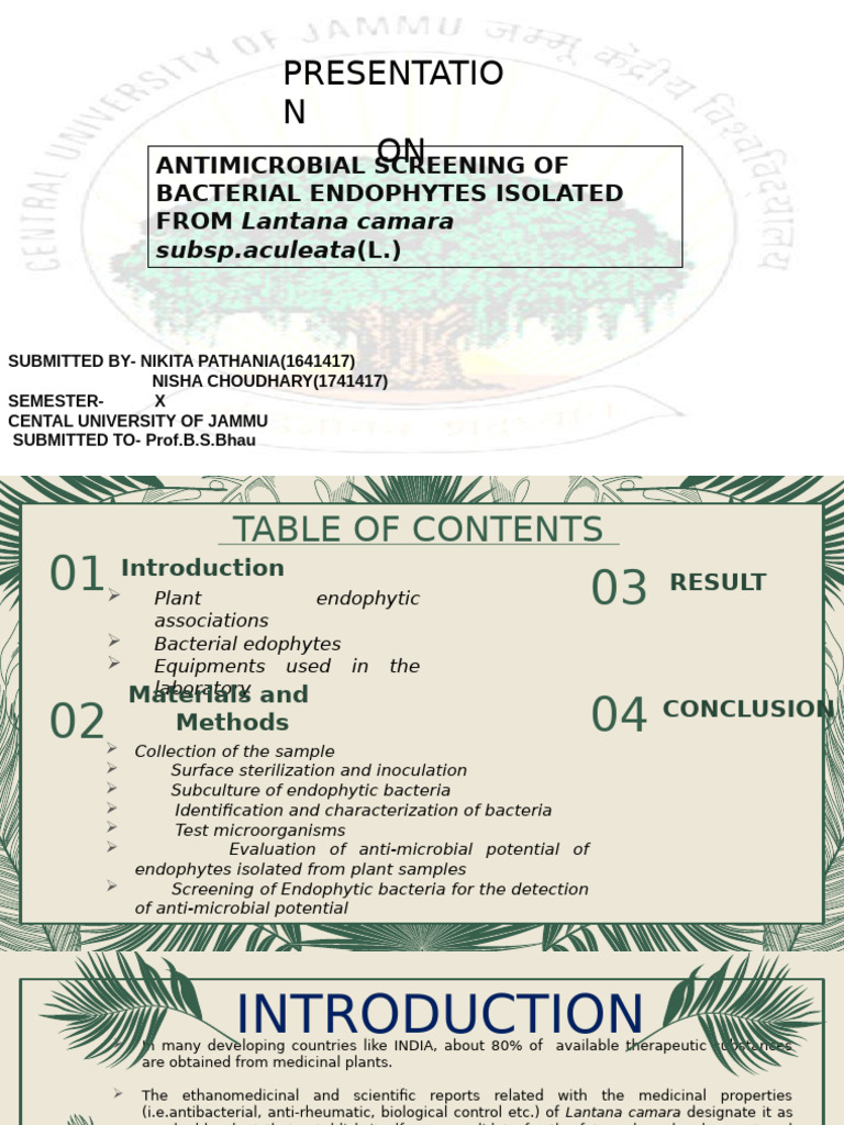 Dissertation | PDF | Bacteria | Antimicrobial