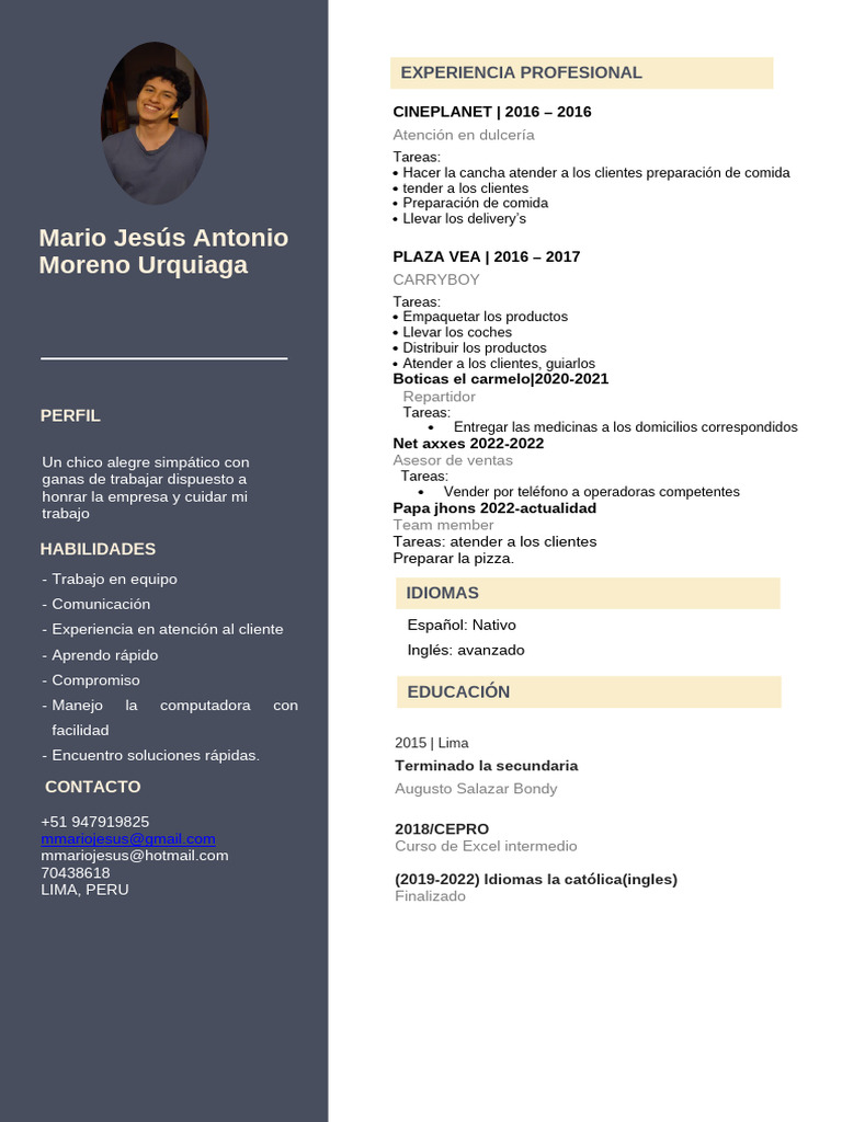 Mario CV Actual | PDF
