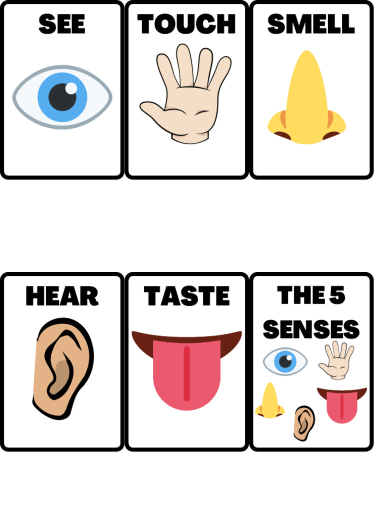 Understanding the 5 Human Senses | PDF
