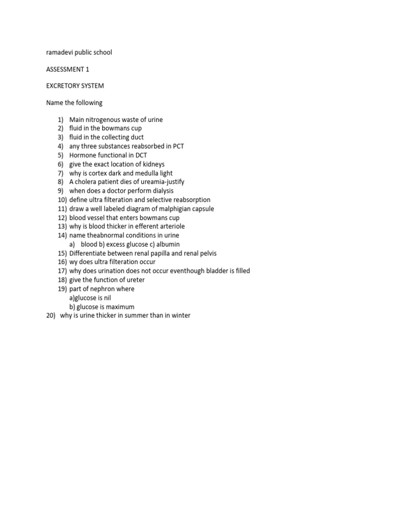 Excretory System Assessment Questions | PDF
