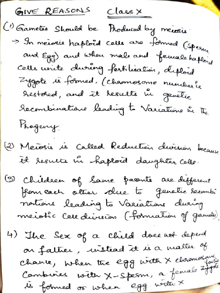 Bio Rev (Imp Points) | PDF