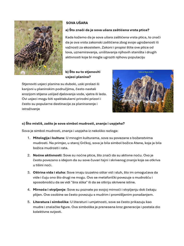 SOVA UŠARA Rad Na Satu | PDF