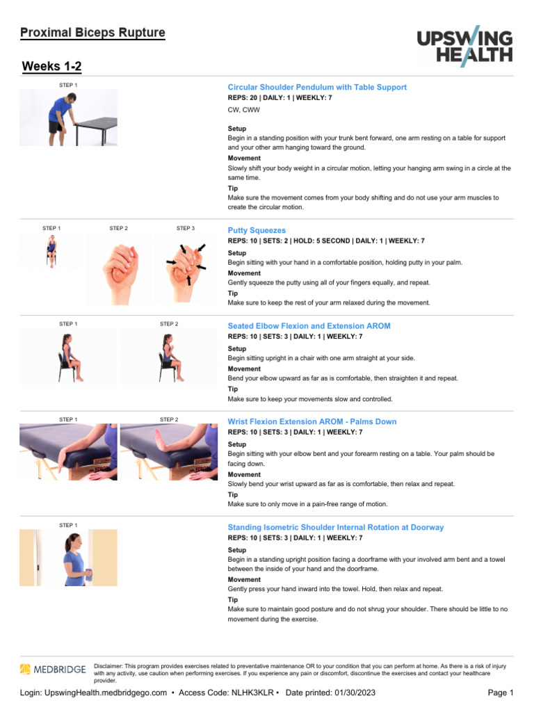 Proximal Biceps Rupture | PDF | Anatomical Terms Of Motion | Elbow