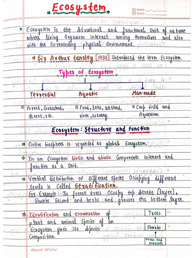 Ecosystem Class 12 | PDF