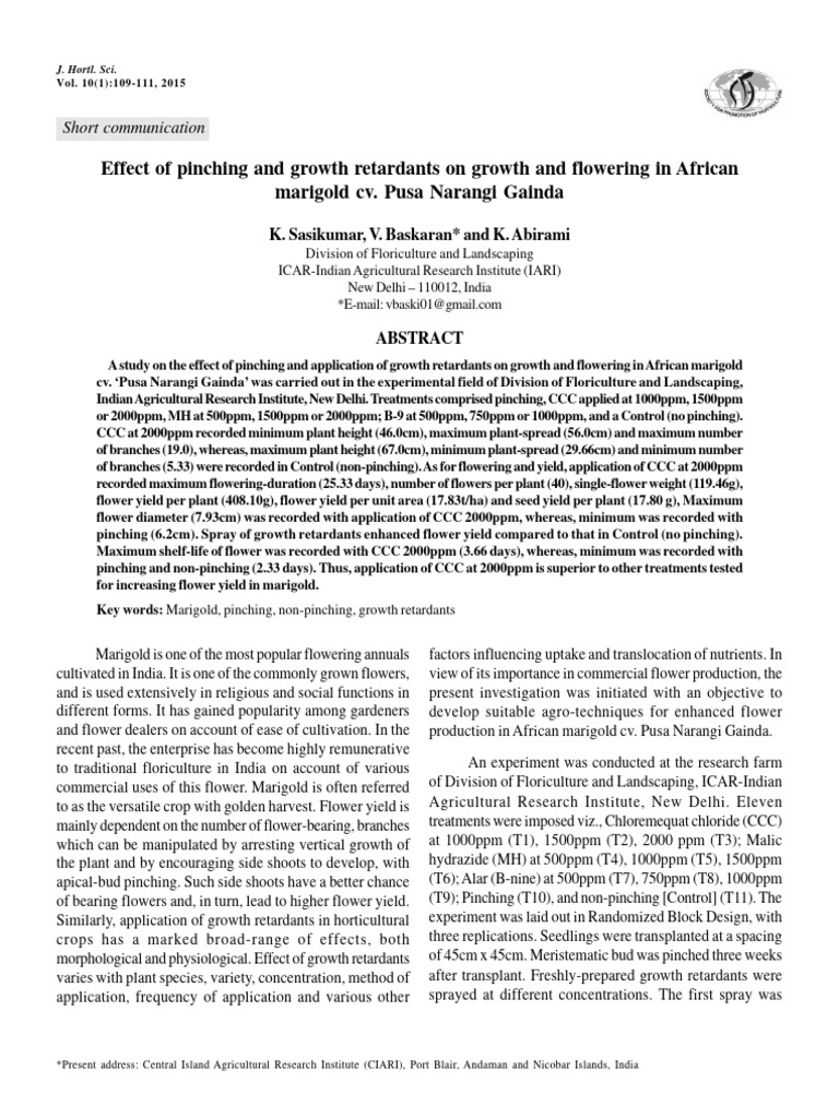 Effect of Pinching and Growth Retardants | PDF | Botany | Plants