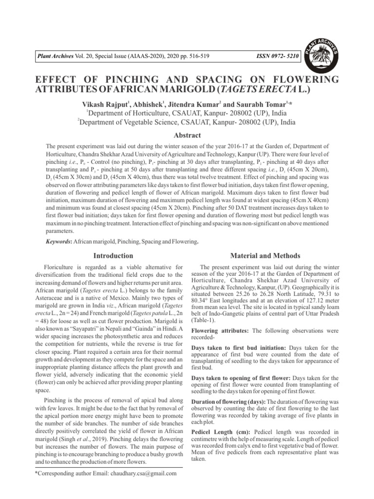 Effect of Pinching and Spacing On Flower | PDF | Plants | Botany