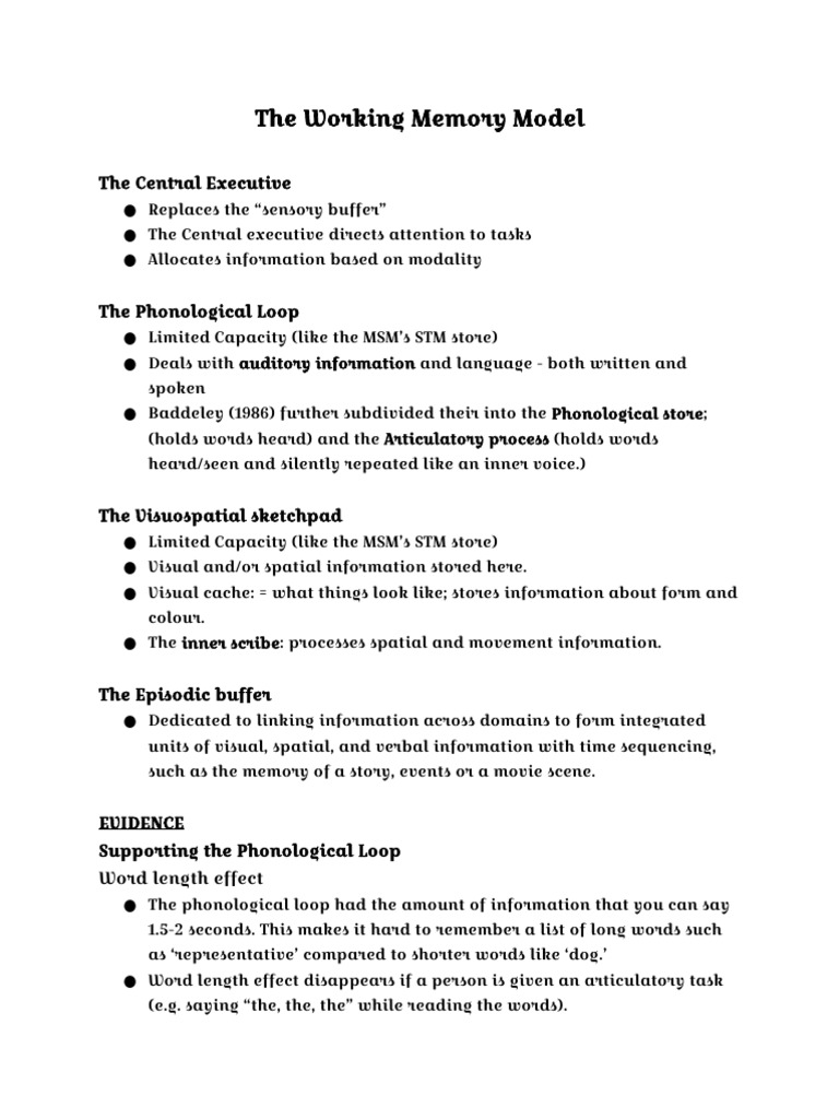 Working Memory Model Explained Pdf Memory Neuroscience 0963