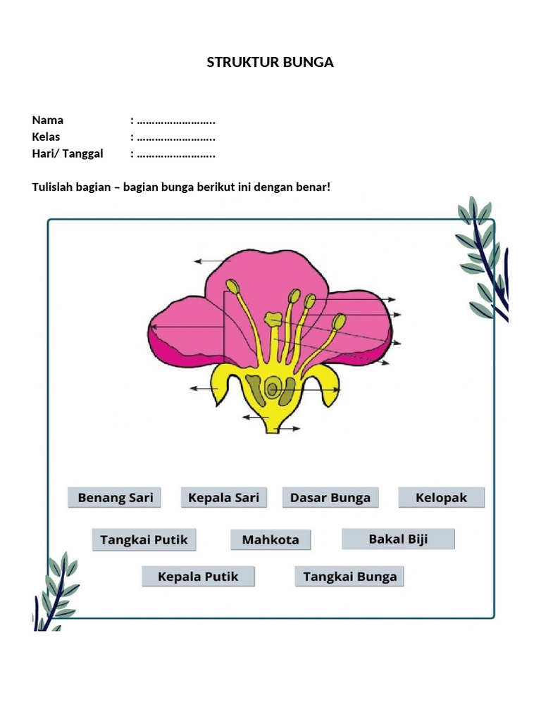 Struktur Bunga | PDF