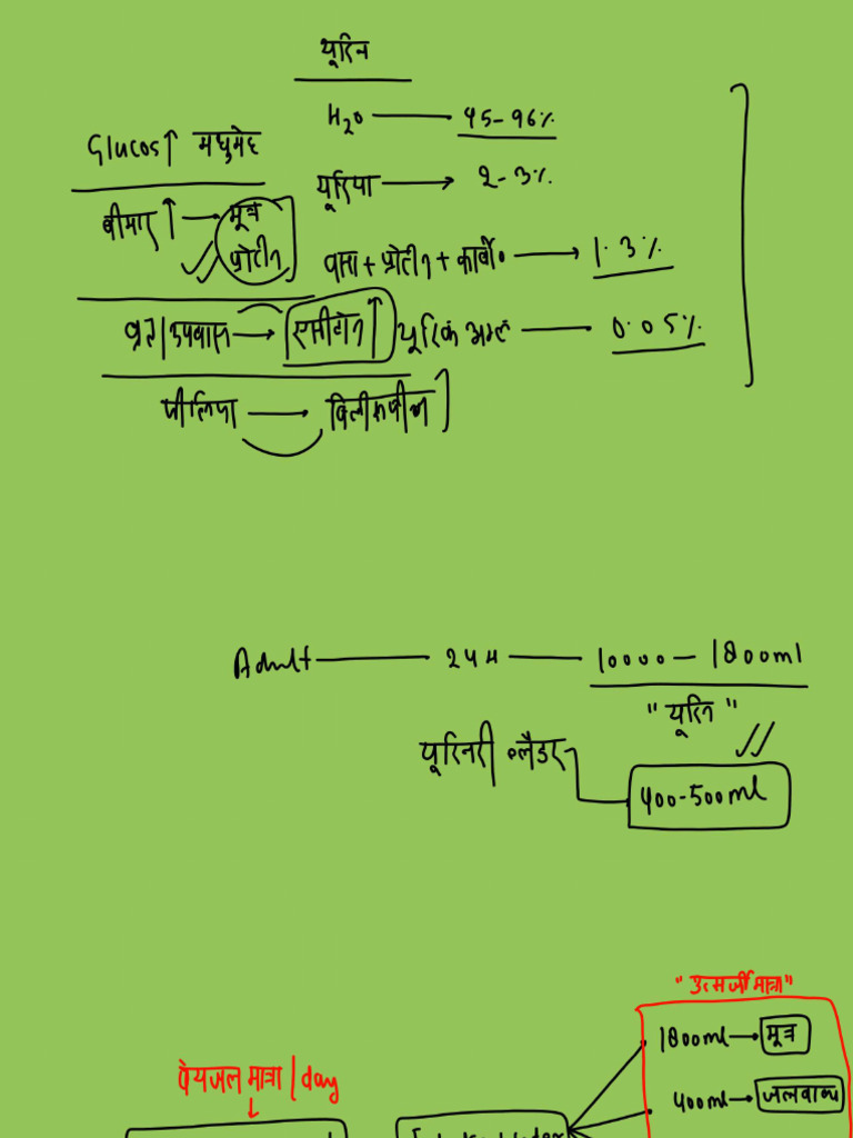 Lecture 19 Biology By Sumit Sir 8295309465 Pdf