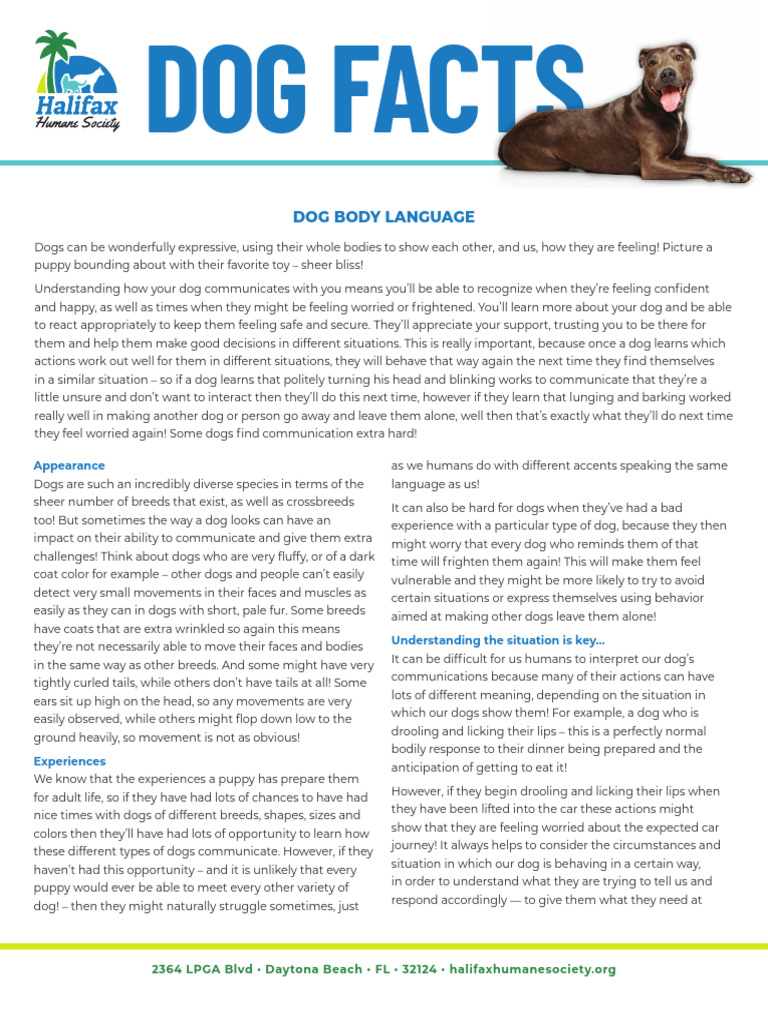 Dog Body Language | PDF | Dogs | Communication