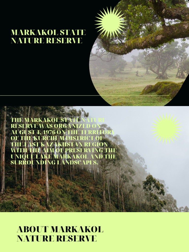 Markakol State Nature Reserve Overview | PDF