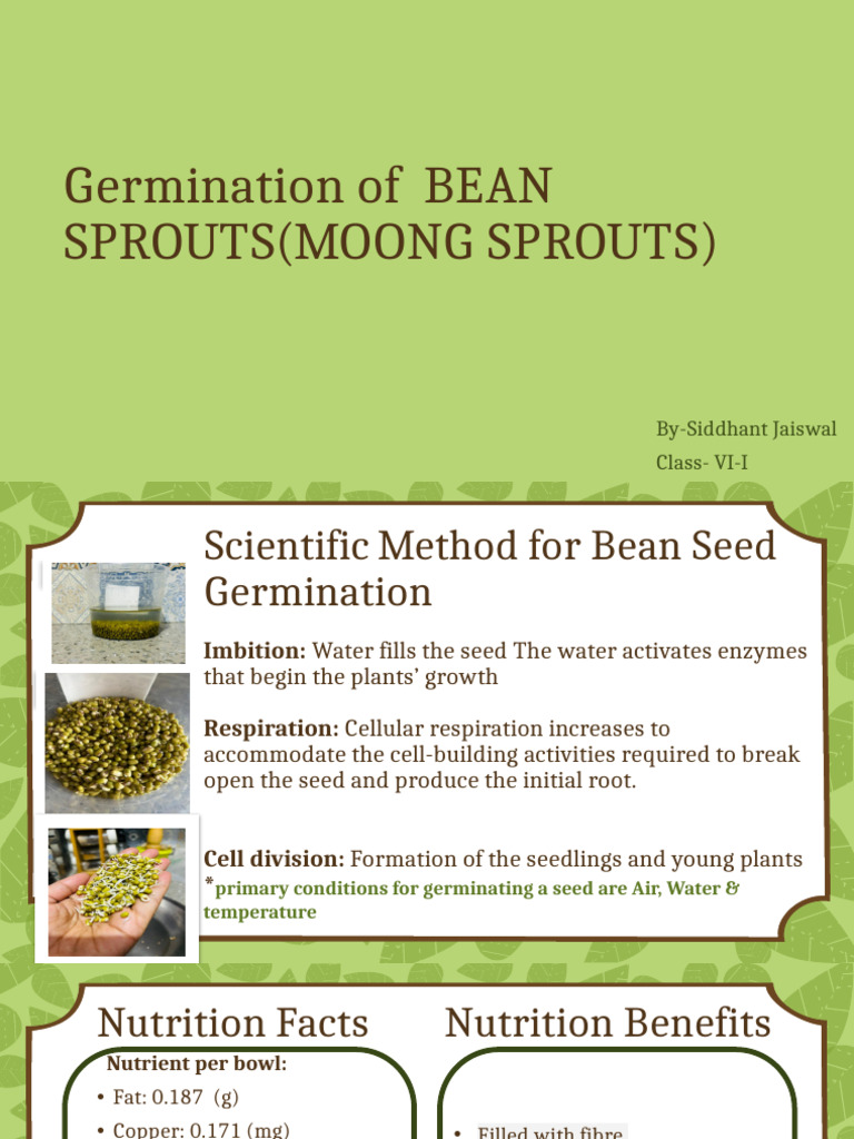 Germination Project- Siddhant Jaiswal | PDF Germination Project- Siddhant Jaiswal | PDF