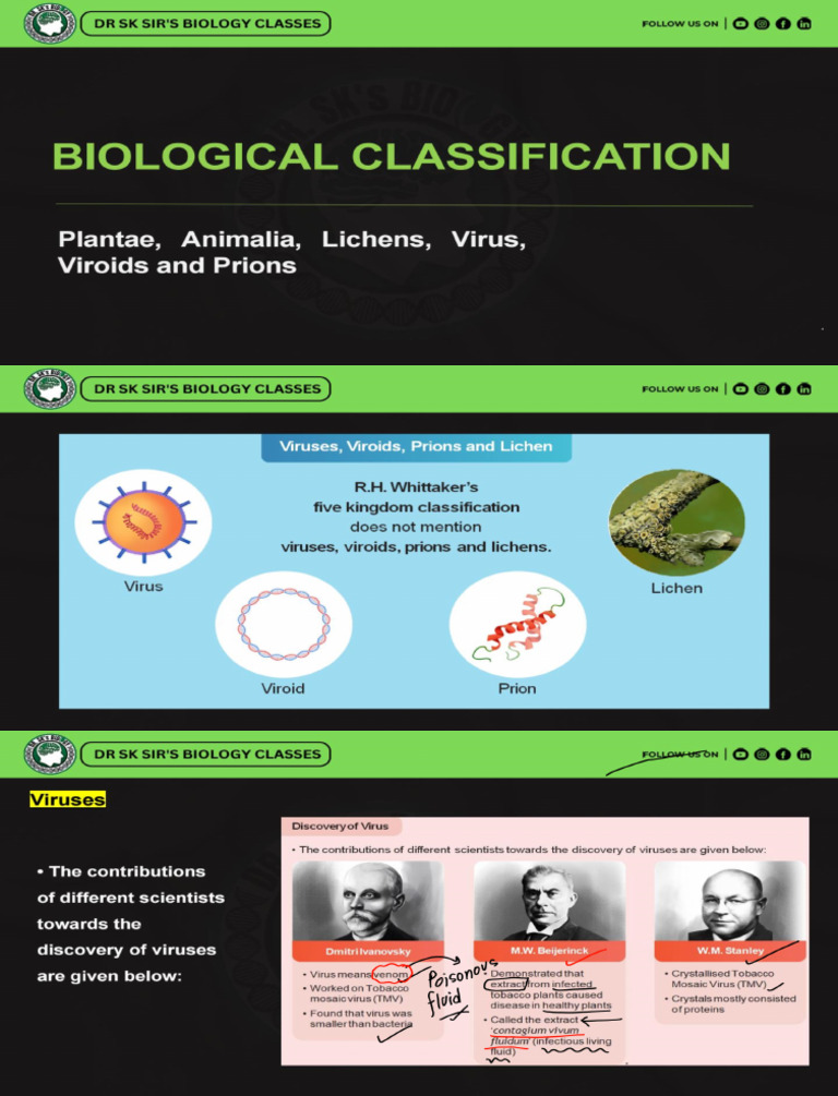 Biology Class 11 | PDF