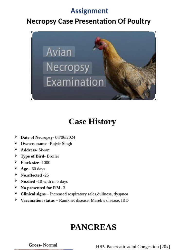 ppt vpp necropsy | PDF