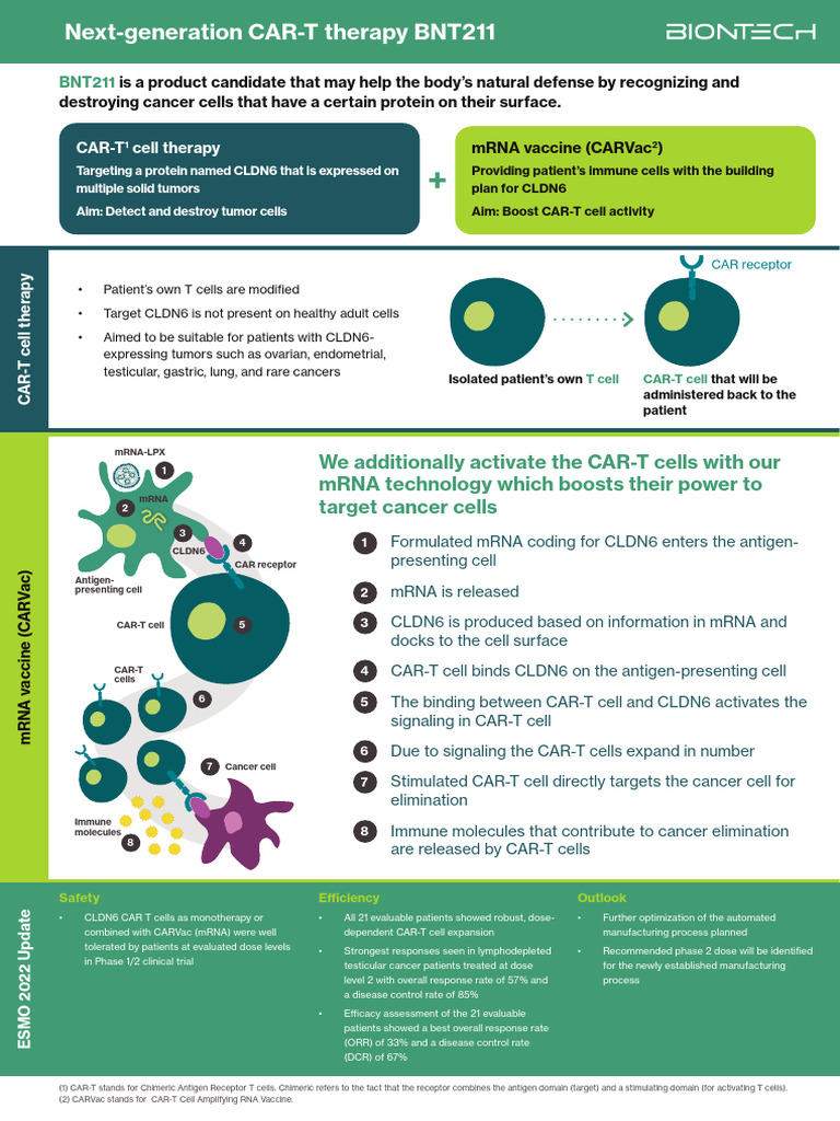 BNT211_FactSheet | PDF | Immune System | Biochemistry