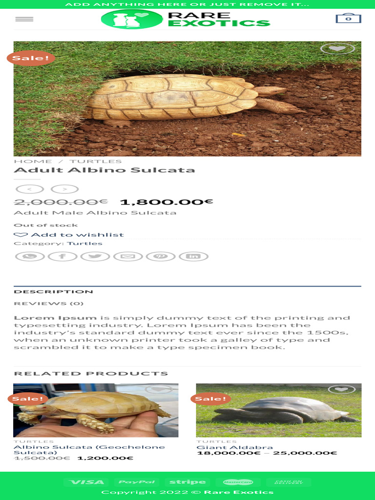 Adult Albino Sulcata – Rare Exotics | PDF