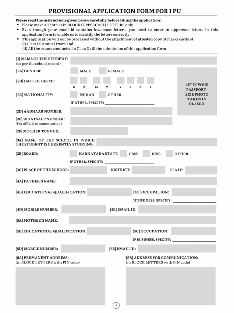 Provisional Application Form 2025 | PDF