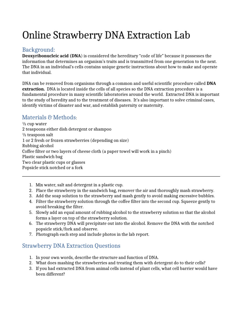 Strawberry DNA Extraction Lab Guide | PDF