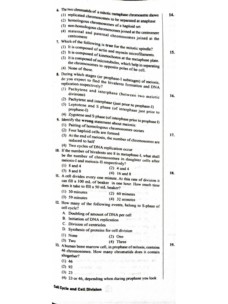 Meiosis Questions | PDF