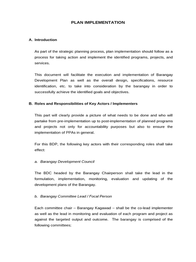 08 - BDP Plan Implementation | PDF