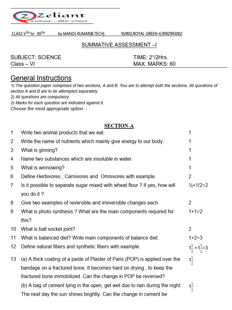 Class VI Science Summative Assessment | PDF | Plants | Botany