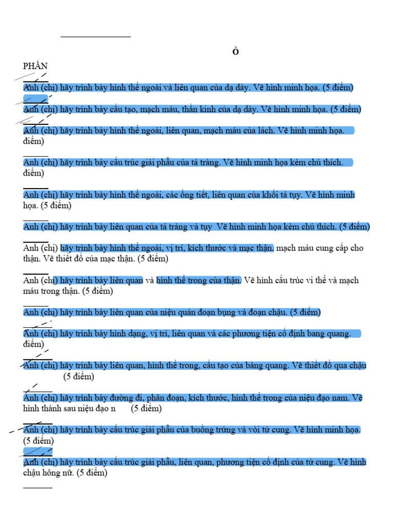 GIAI PHAU 2-YD212002-7720101-04TC-y Khoa-2021 | PDF