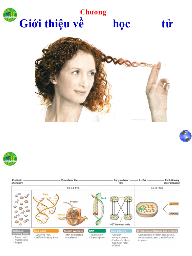 Chuong 1 Gioi thieu ve Sinh hoc Phan tu | PDF
