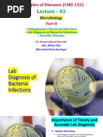 EUCAST Antimicrobial Testing Guide | PDF | Bacteria | Antibiotics