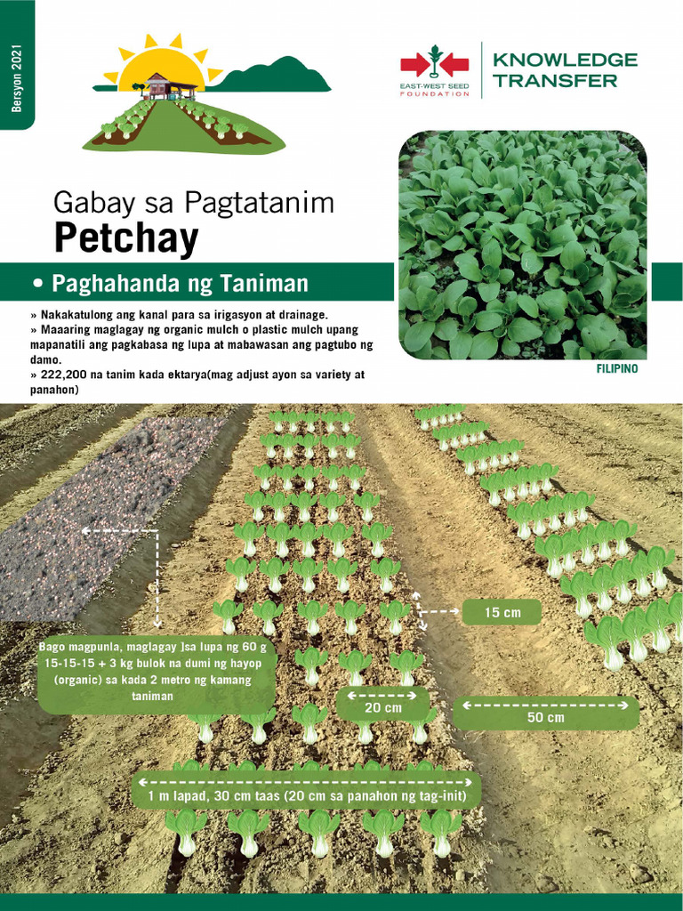 Petsay | PDF