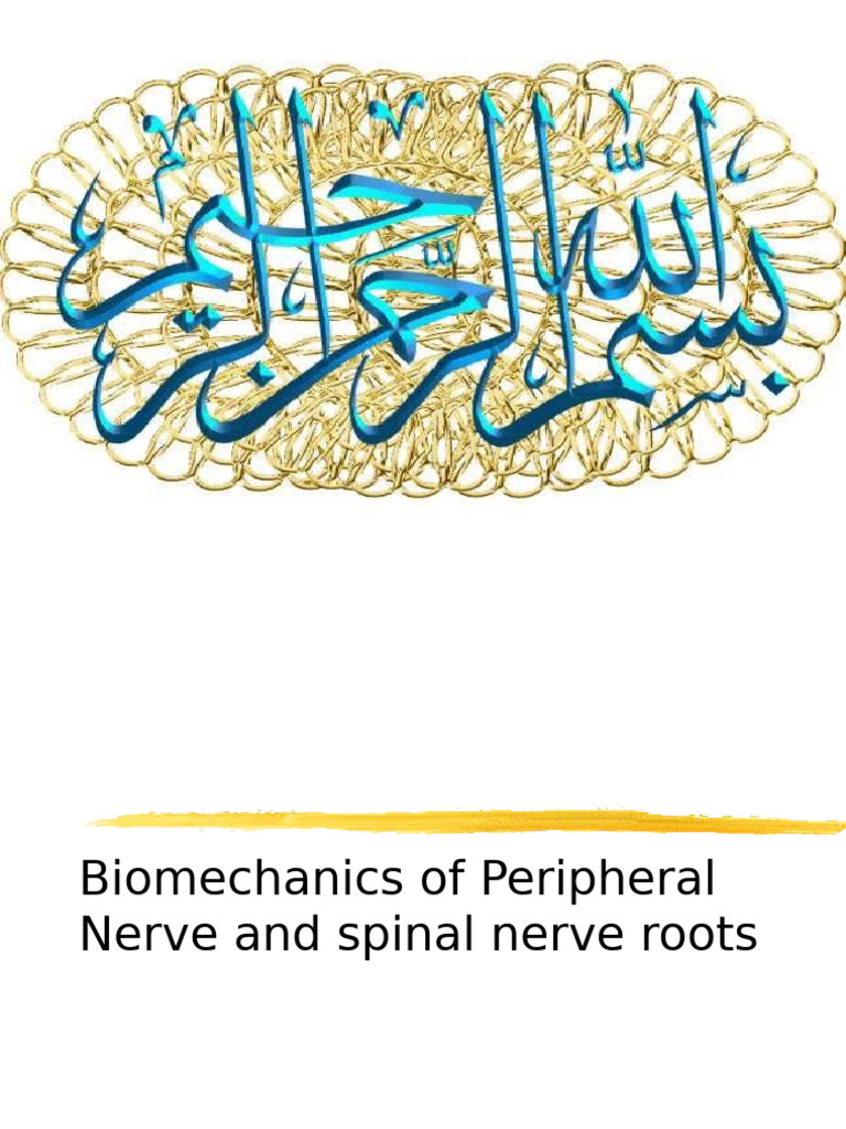 Biomechanics of Peripheral Nerves and Spinal Nerve Roots | PDF ...